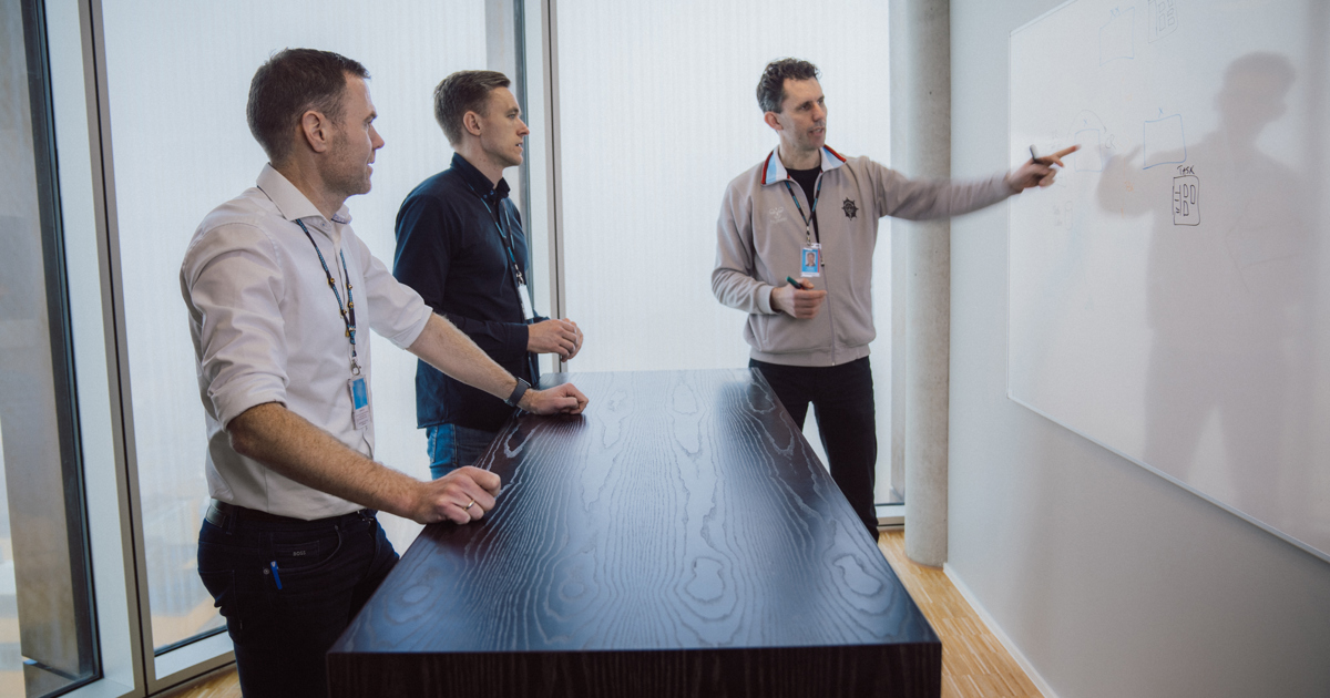 Project management - Software development with management and sparring