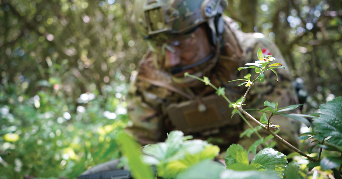 Iris Information Mapping Optimizing Military Data Exchange