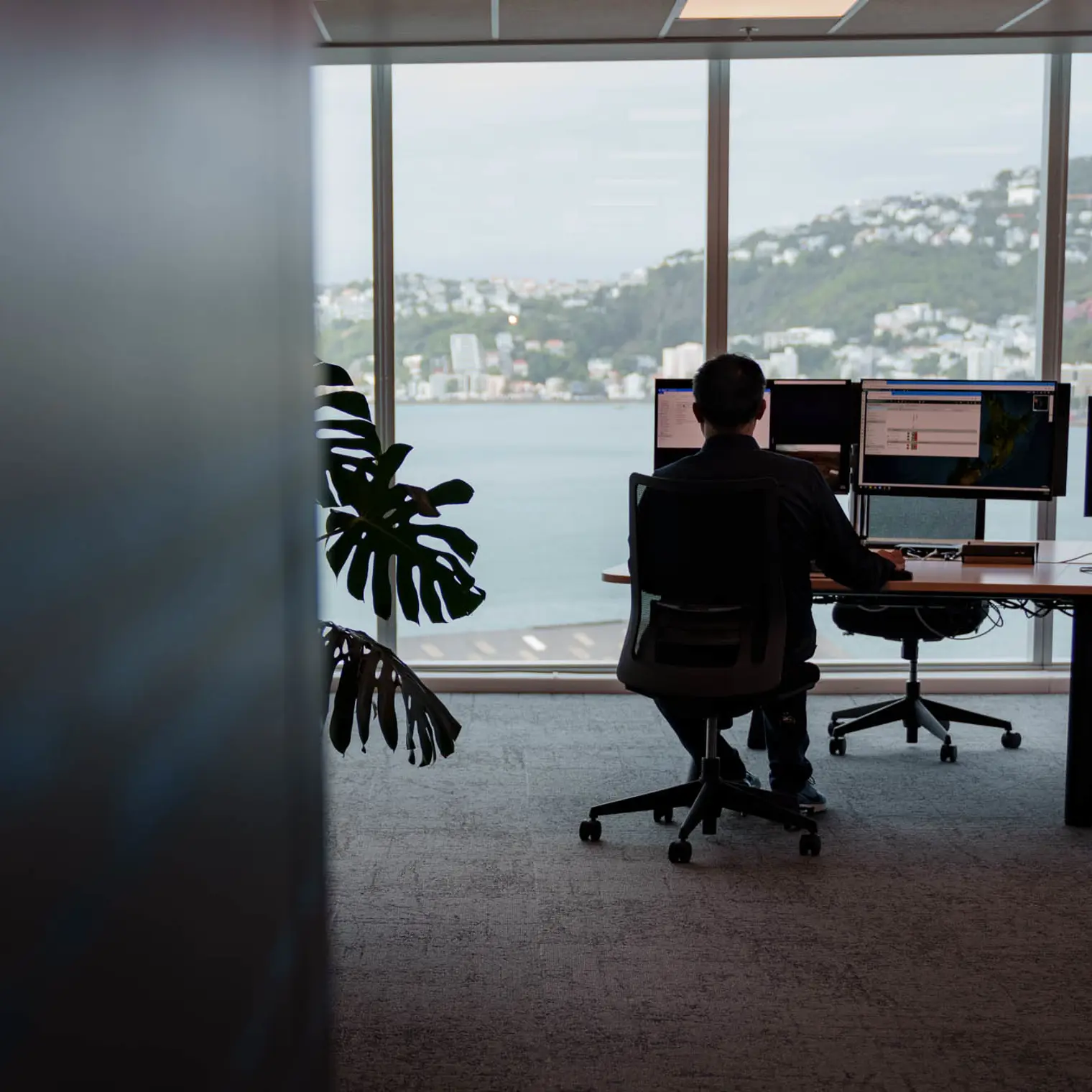 New Zealand | Our Offices - Systematic
